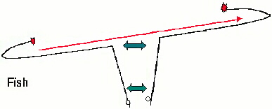 Trout Tips for NZ - Improve your Techniques